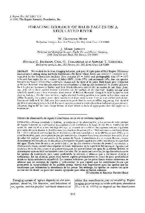 (PDF) Foraging Ecology of Bald Eagles on a Regulated River | Carl ...