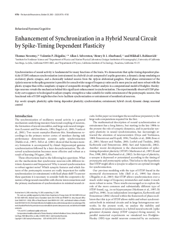 (PDF) Enhancement of Synchronization in a Hybrid Neural Circuit by Spike-Timing Dependent Plasticity