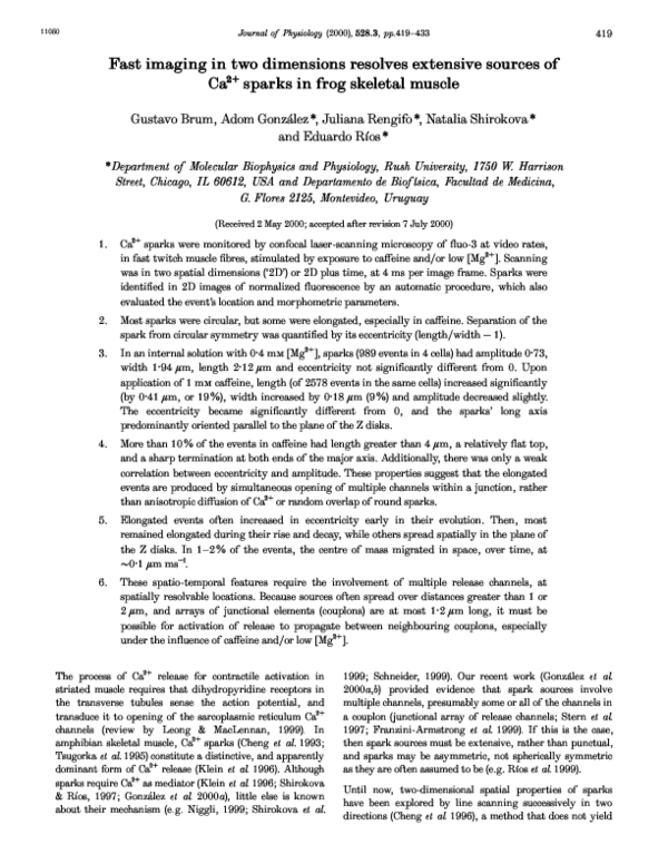 (PDF) Fast imaging in two dimensions resolves extensive sources of Ca2+ sparks in frog skeletal ...