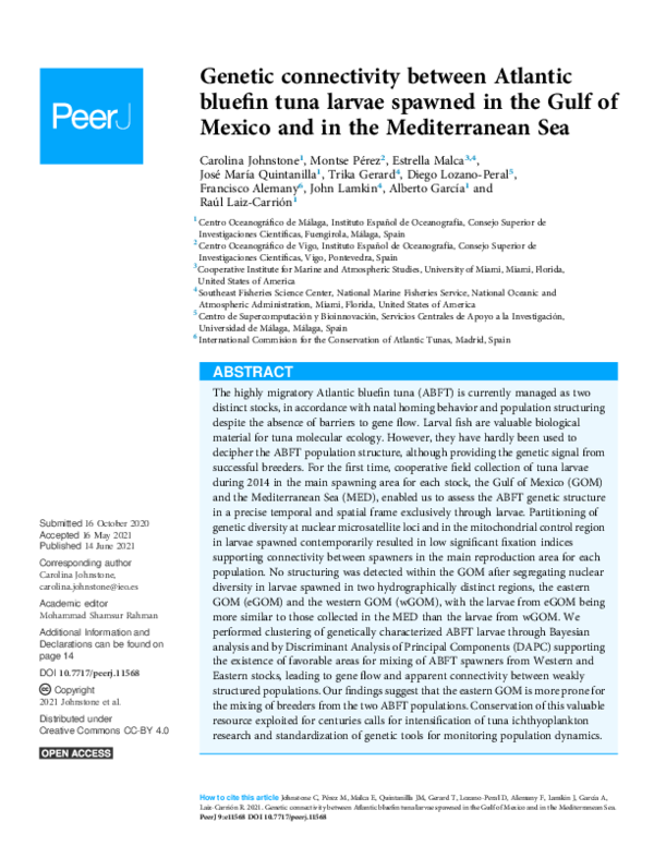 (PDF) Genetic connectivity between Atlantic bluefin tuna larvae spawned ...