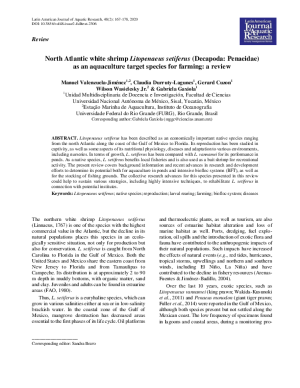 (PDF) North Atlantic white shrimp Litopenaeus setiferus (Decapoda ...