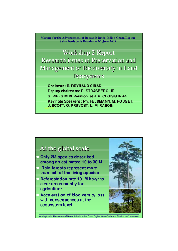 (PDF) Report research issues in preservation and management of ...