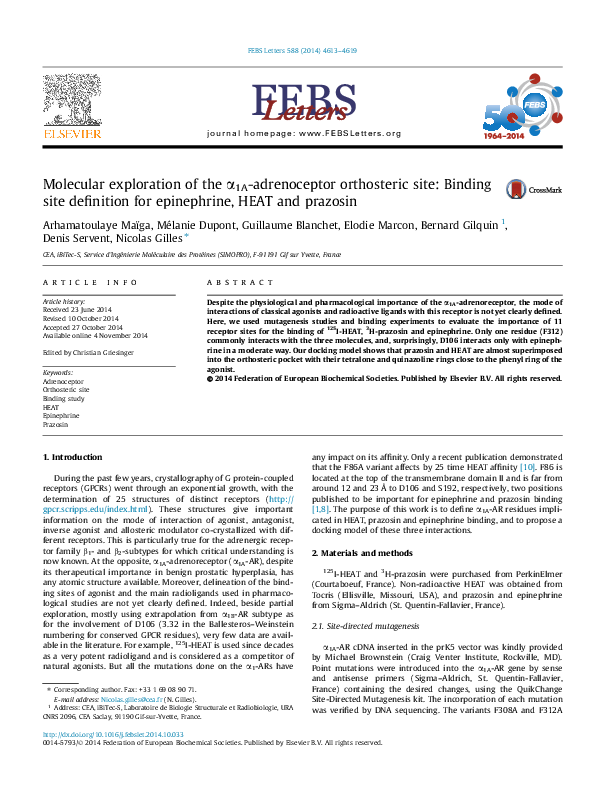 (PDF) Molecular exploration of the α(1A)-adrenoceptor orthosteric site ...