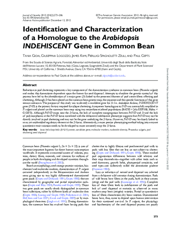 (PDF) Identification and Characterization of a Homologue to the ...