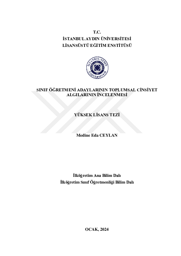 (PDF) Medine Eda CEYLAN