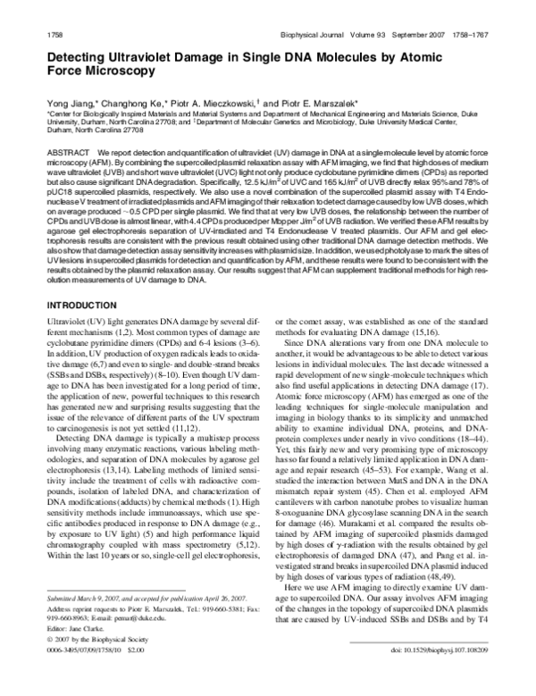 (PDF) Detecting Ultraviolet Damage in Single DNA Molecules by Atomic ...