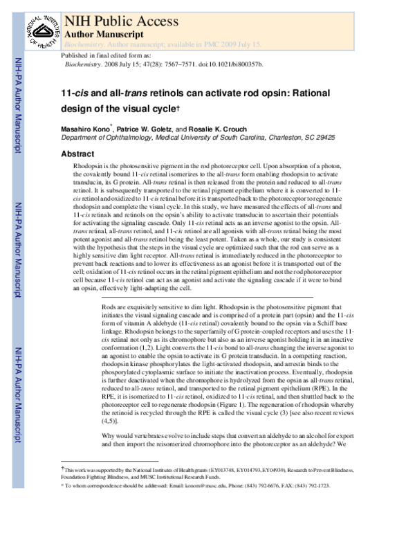 (PDF) 11- cis - and All- trans -Retinols Can Activate Rod Opsin ...