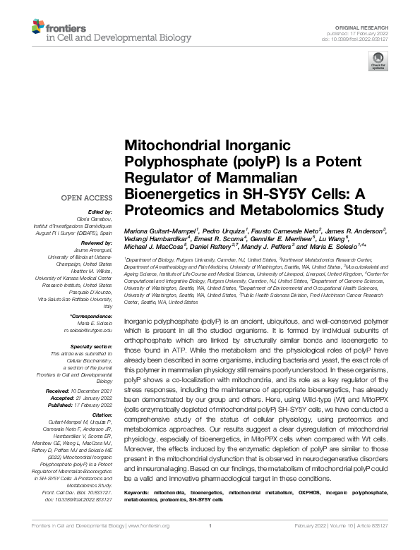 (PDF) Mitochondrial Inorganic Polyphosphate (polyP) Is a Potent ...