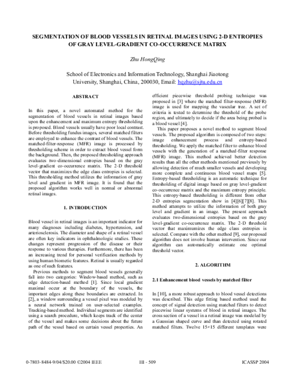 (PDF) Segmentation of blood vessels in retinal images using 2D entropies of gray level-gradient ...
