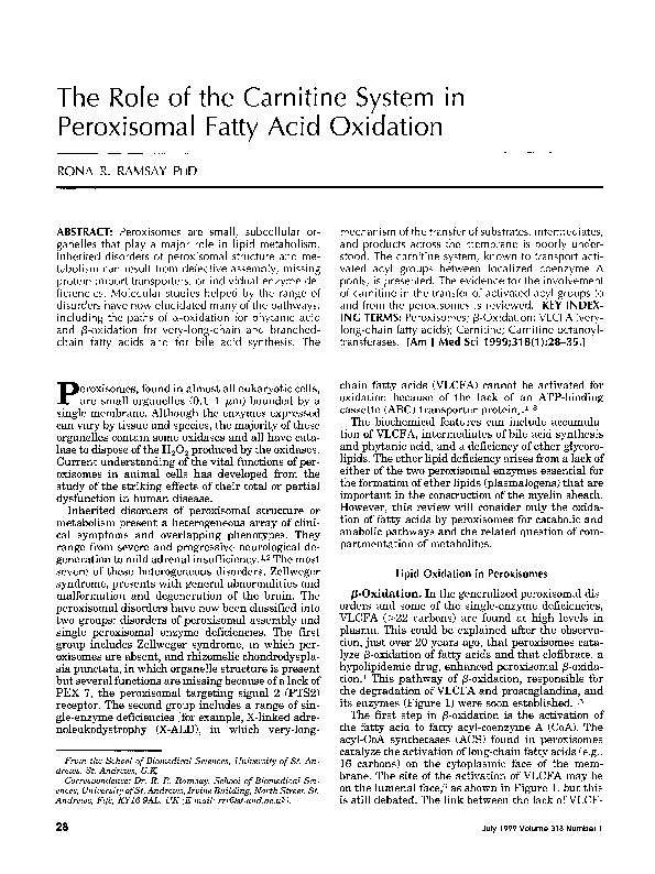(PDF) The role of the carnitine system in peroxisomal fatty acid oxidation