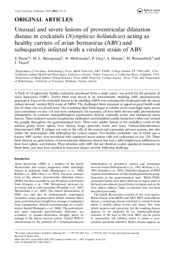 (PDF) Unusual and Severe Lesions of Proventricular Dilatation Disease ...