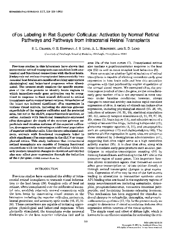 (PDF) cFos labeling in rat superior colliculus: Activation by normal ...