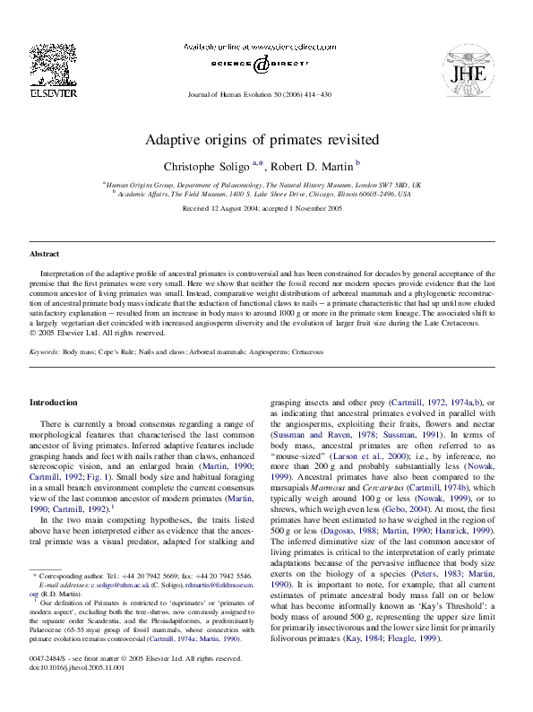 (PDF) Adaptive origins of primates revisited