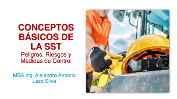 (PDF) CONCEPTOS BÁSICOS DE LA SST Peligros, Riesgos y Medidas de Control