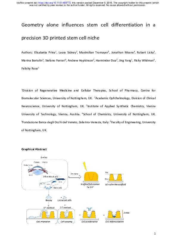 (PDF) Geometry alone influences stem cell differentiation in a ...