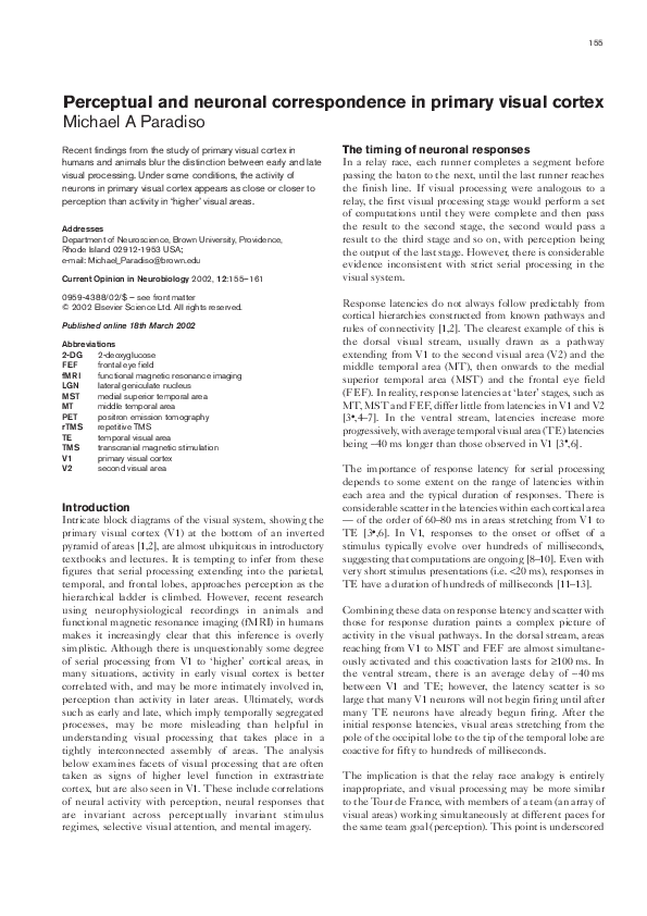 (PDF) Perceptual and neuronal correspondence in primary visual cortex