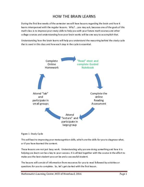 (PDF) How the Brain Learns
