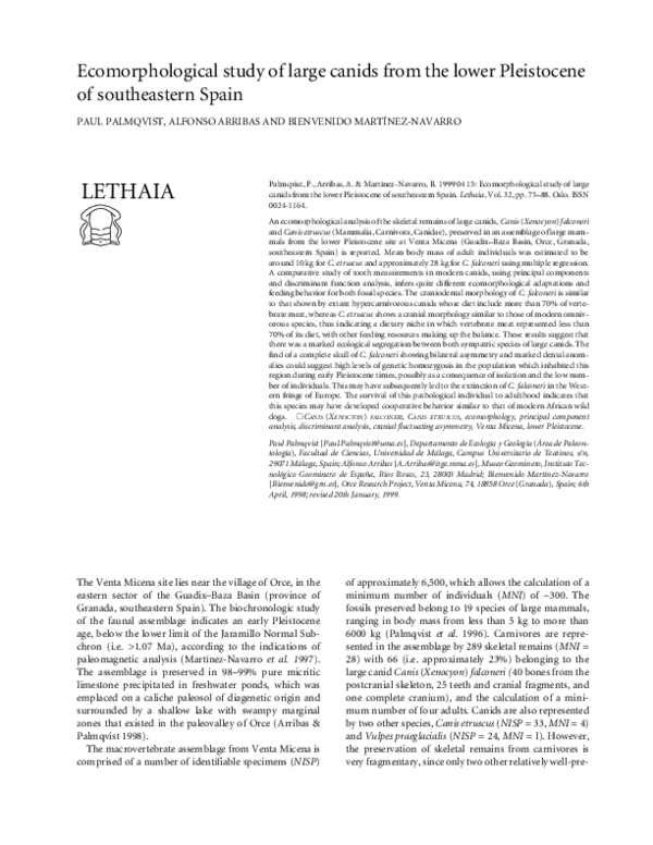 (PDF) Canis etruscus | Bienvenido Martínez-Navarro - Academia.edu