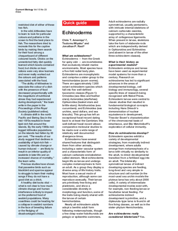 (PDF) Echinoderms