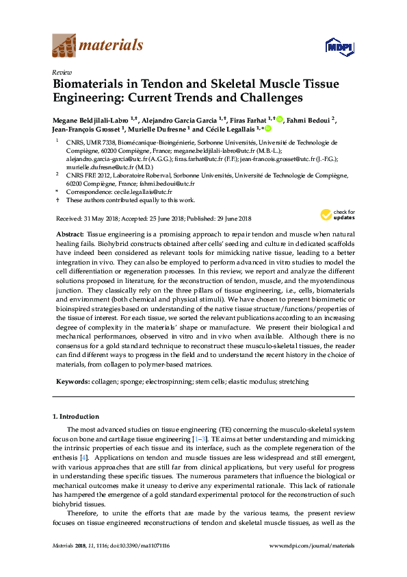 (PDF) Biomaterials in Tendon and Skeletal Muscle Tissue Engineering ...