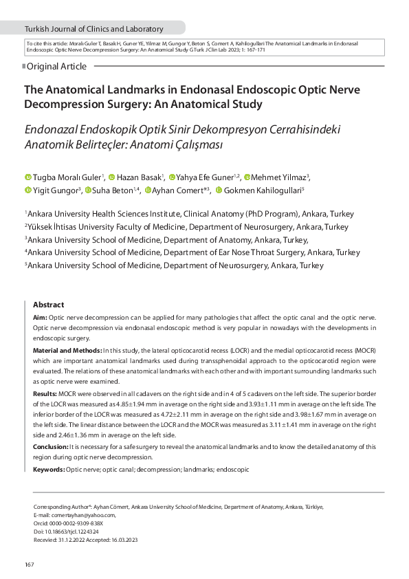 (PDF) The Anatomical Landmarks in Endonasal Endoscopic Optic Nerve ...
