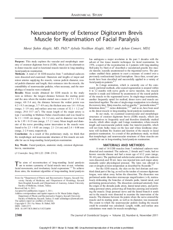 (PDF) Neuroanatomy of Extensor Digitorum Brevis Muscle for Reanimation ...