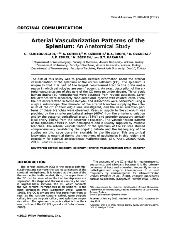 (PDF) Arterial vascularization patterns of the splenium: An anatomical ...