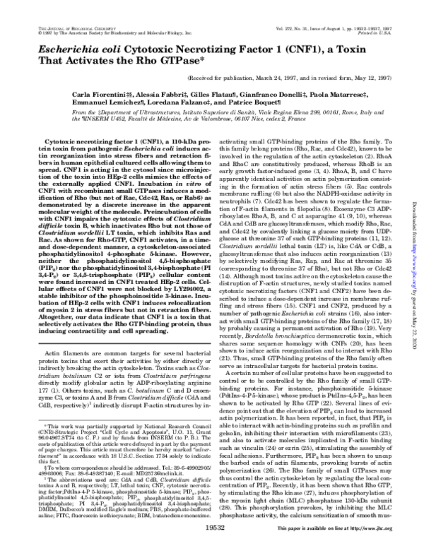 (PDF) Escherichia coli Cytotoxic Necrotizing Factor 1 (CNF1), a Toxin ...