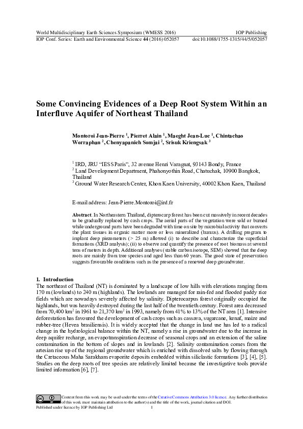 (PDF) Some Convincing Evidences of a Deep Root System Within an ...