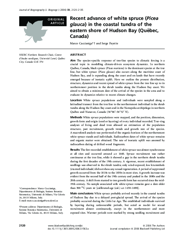 (PDF) Recent advance of white spruce (Picea glauca) in the coastal ...