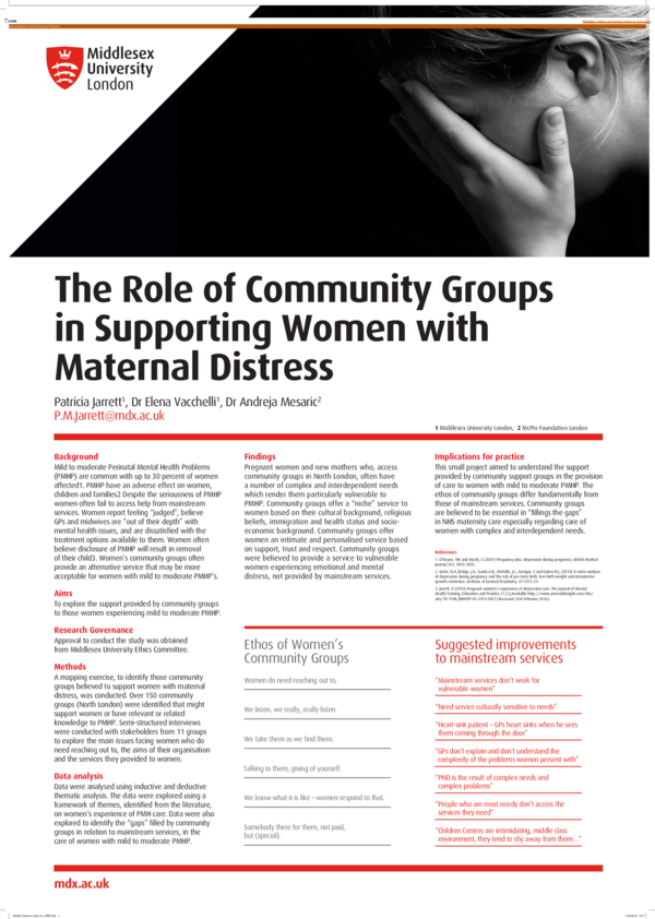 (PDF) The role of community groups in supporting women with maternal ...