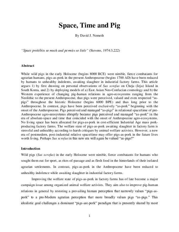 (PDF) Space, Time and Pig