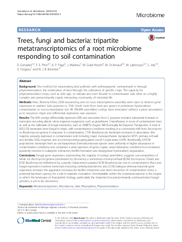 (PDF) Trees, fungi and bacteria: tripartite metatranscriptomics of a ...