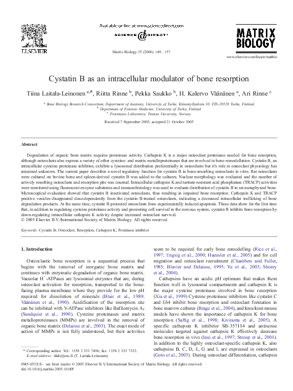 (PDF) Cystatin B as an intracellular modulator of bone resorption