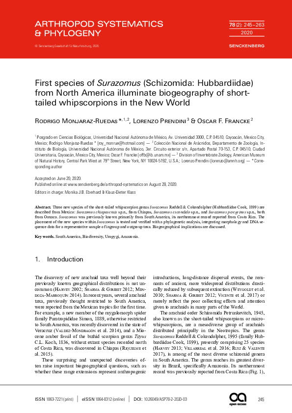 (PDF) First species of Surazomus (Schizomida: Hubbardiidae) from North ...