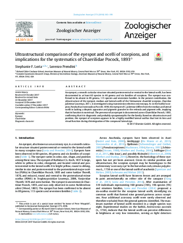 (PDF) Ultrastructural comparison of the eyespot and ocelli of scorpions ...