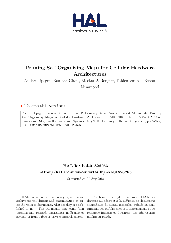 (PDF) Pruning Self-Organizing Maps for Cellular Hardware Architectures