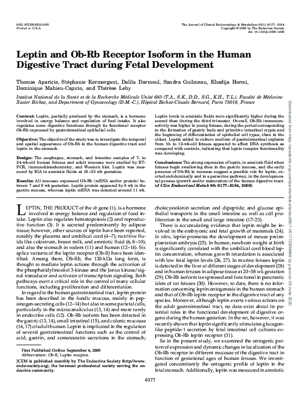 (PDF) Leptin and Ob-Rb Receptor Isoform in the Human Digestive Tract ...