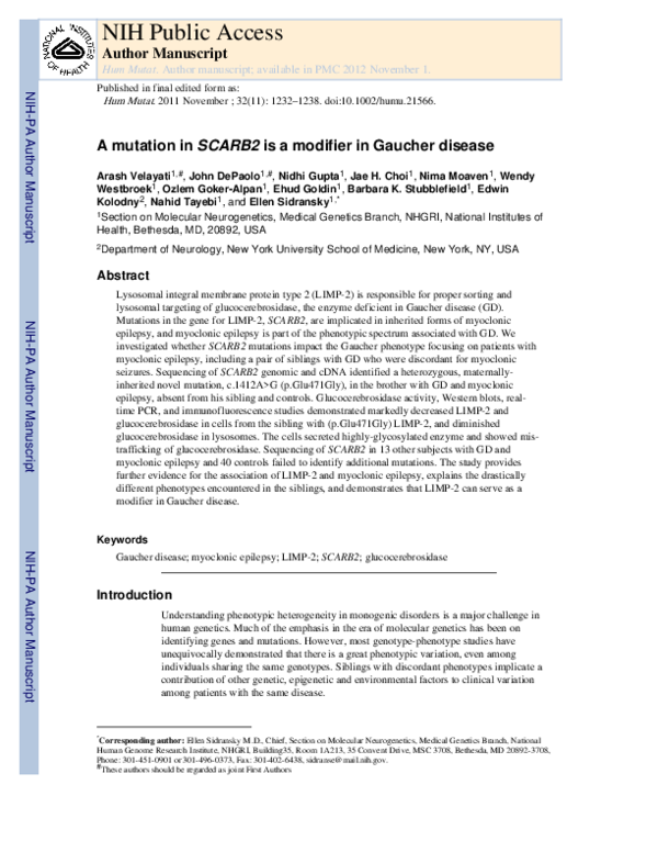 (PDF) A mutation in SCARB2 is a modifier in gaucher disease