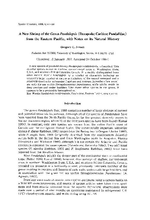 (PDF) A New Shrimp of the Genus Pandalopsis (Decapoda : Caridea ...