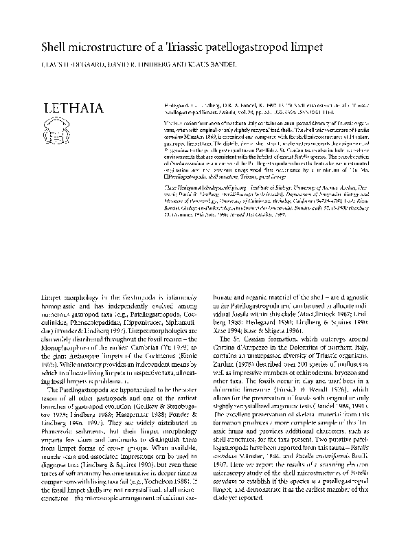 (PDF) Shell microstructure of a Triassic patellogastropod limpet | David Lindberg - Academia.edu