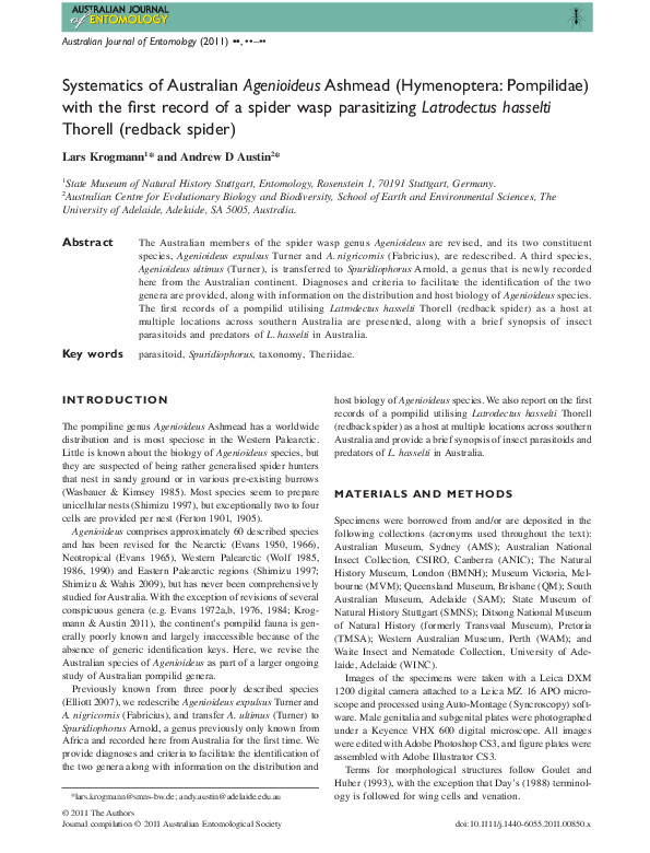 (PDF) Systematics of Australian Agenioideus Ashmead (Hymenoptera ...