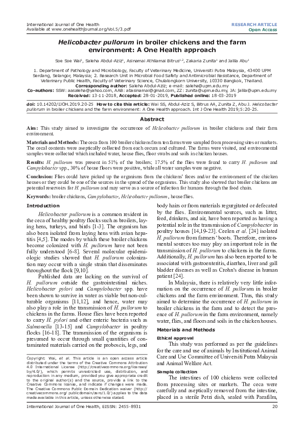 (PDF) Helicobacter pullorum in broiler chickens and the farm ...