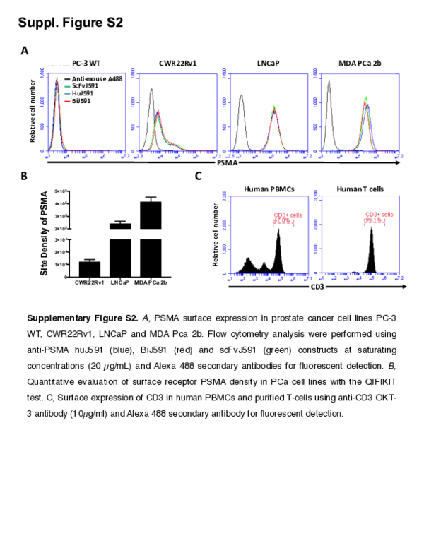 (PDF) Figure S2 from Anti-PSMA/CD3 Bispecific Antibody Delivery and ...