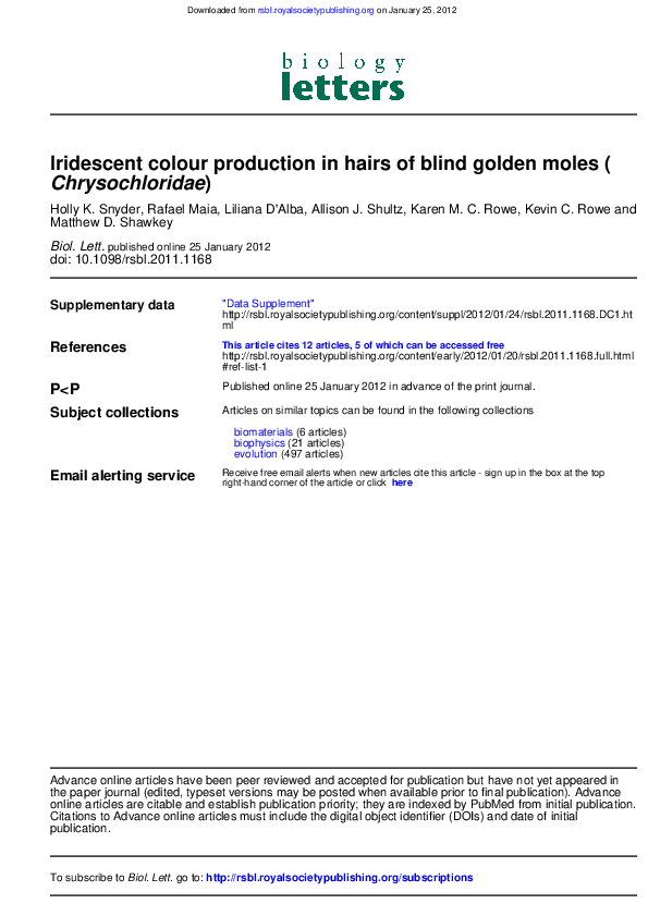 (PDF) Iridescent colour production in hairs of blind golden moles ...