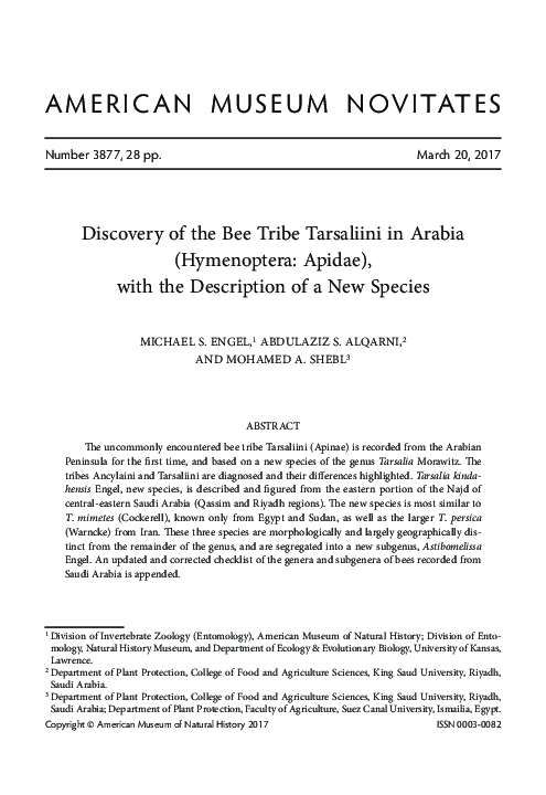 (PDF) Discovery of the bee tribe Tarsaliini in Arabia (Hymenoptera ...