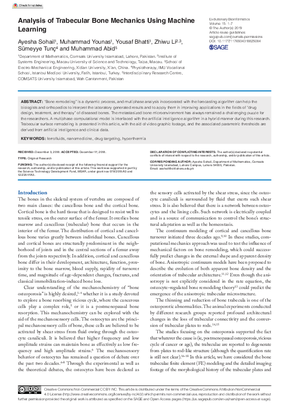 (PDF) Analysis of Trabecular Bone Mechanics Using Machine Learning