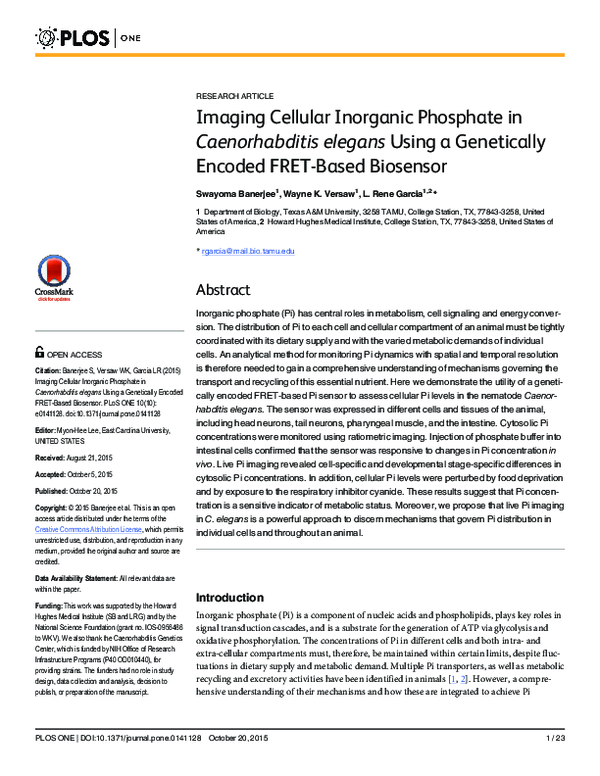 (PDF) Imaging Cellular Inorganic Phosphate in Caenorhabditis elegans ...