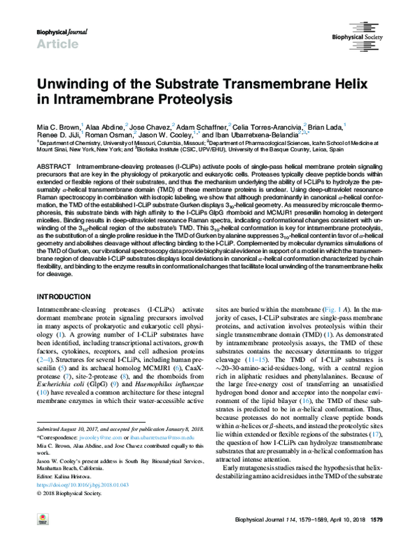 Pdf Unwinding Of The Substrate Transmembrane Helix In Intramembrane Proteolysis