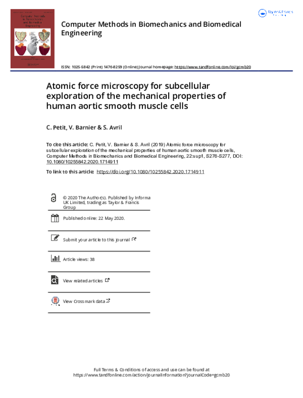 (PDF) Atomic force microscopy for subcellular exploration of the ...